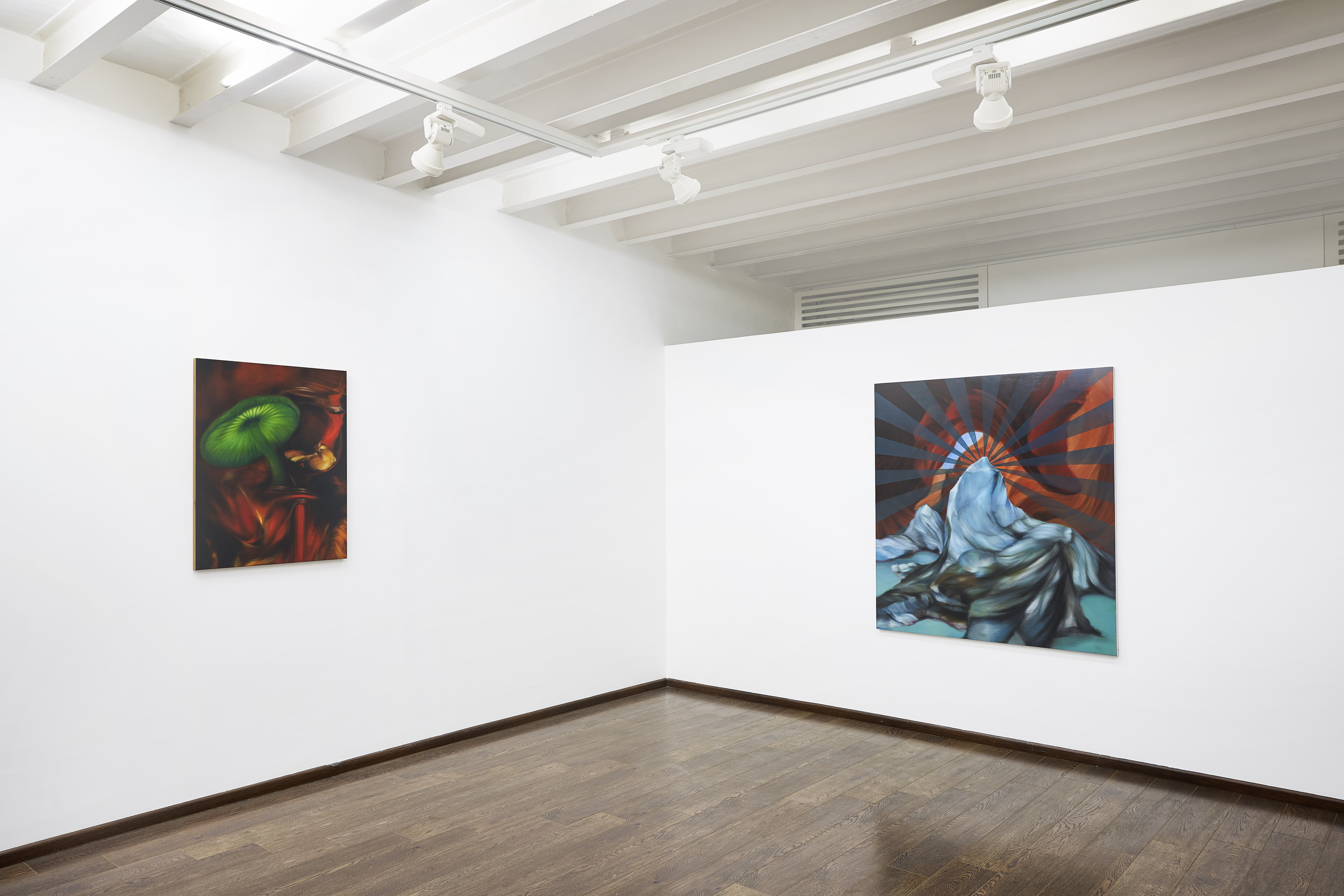 Hugo Wilson | Galerie Isa