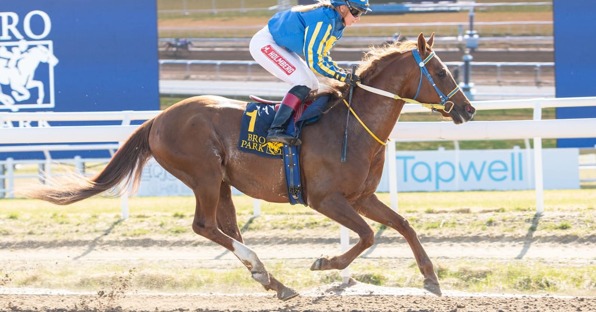 Inför Lill Sham Cup på Bro Park · Galopptips