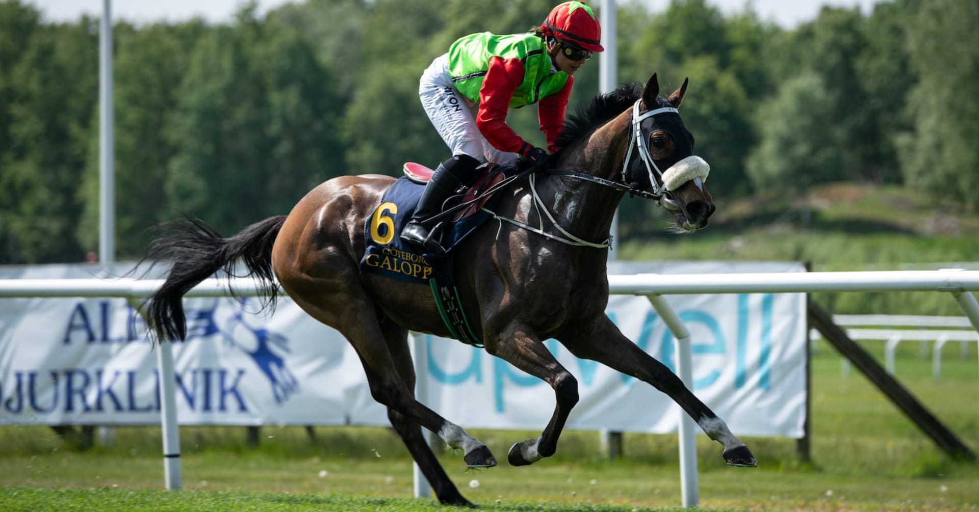 Avd 1 · Poletten har trillat ner · Galopptips