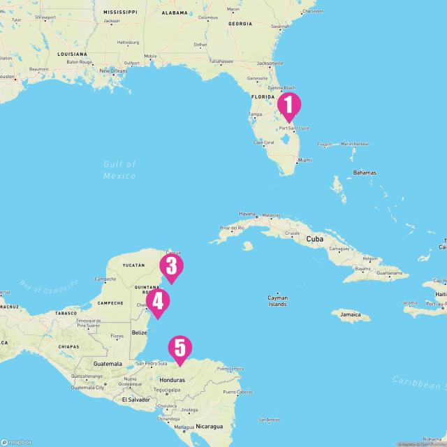 Carnival Mardi Gras - February 1st, 2025 - Cruise Map & Port Info