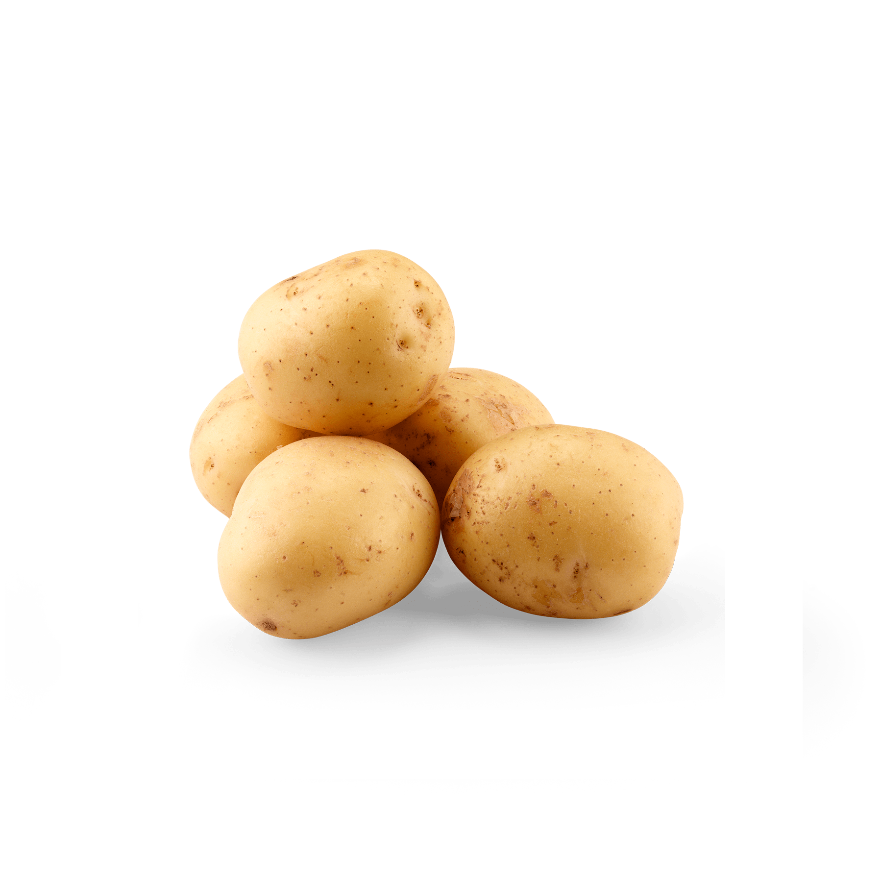 Årets første norske poteter er i jorda | Gartnerhallen