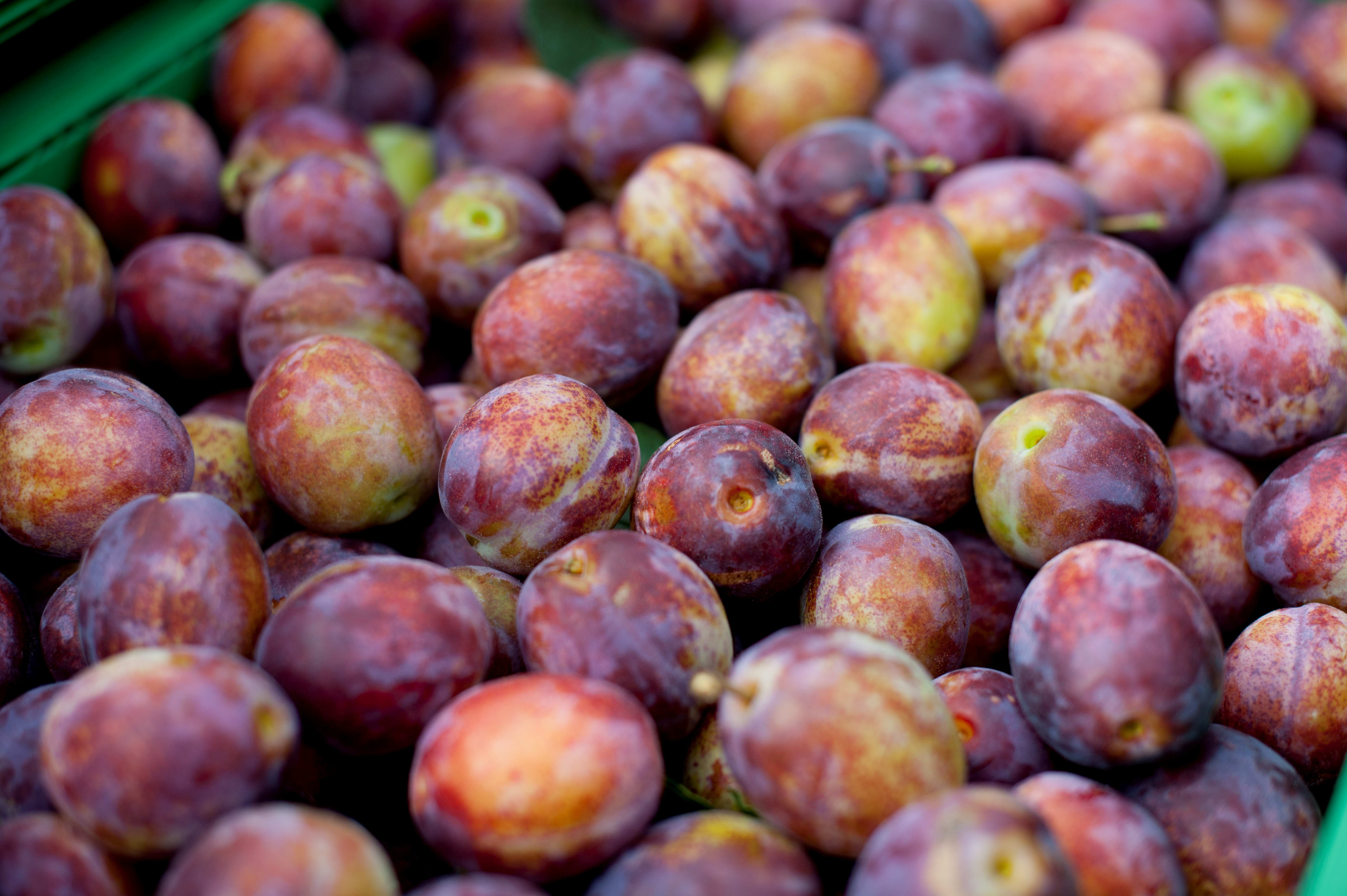 Kjøp norsk frukt! | Gartnerhallen