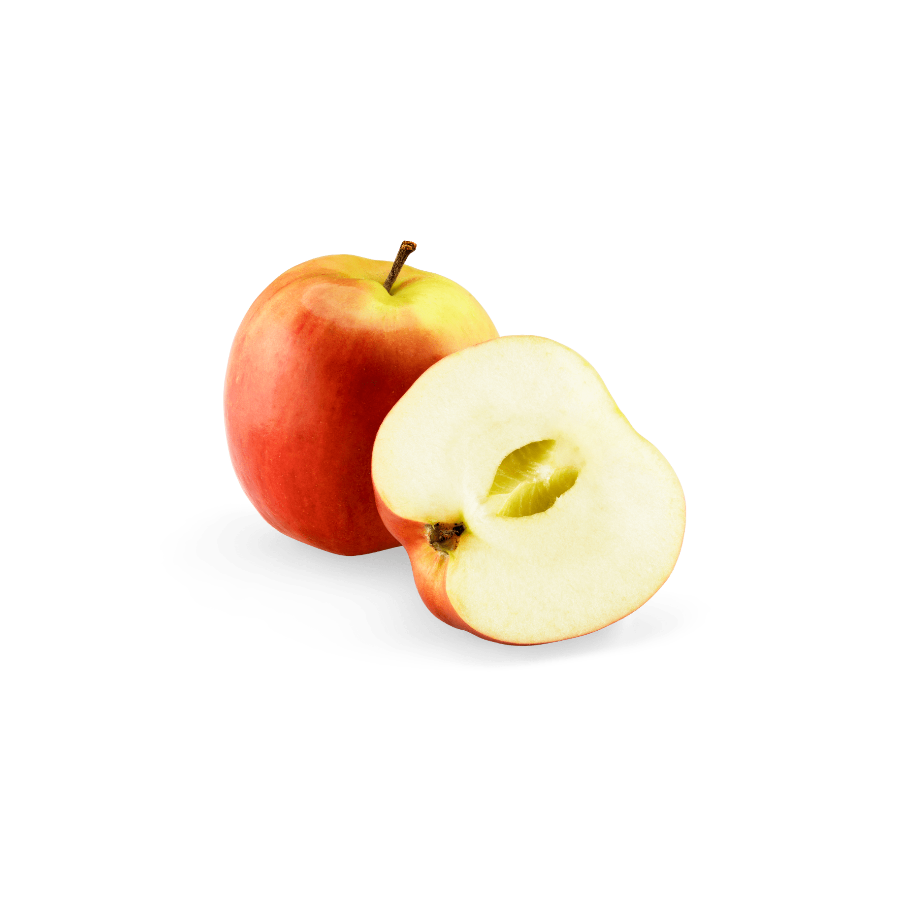 Epler | Gartnerhallen