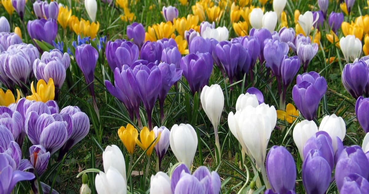Lucille P. Wilson Obituary (1951 - 2025) - Litchfield, Maine