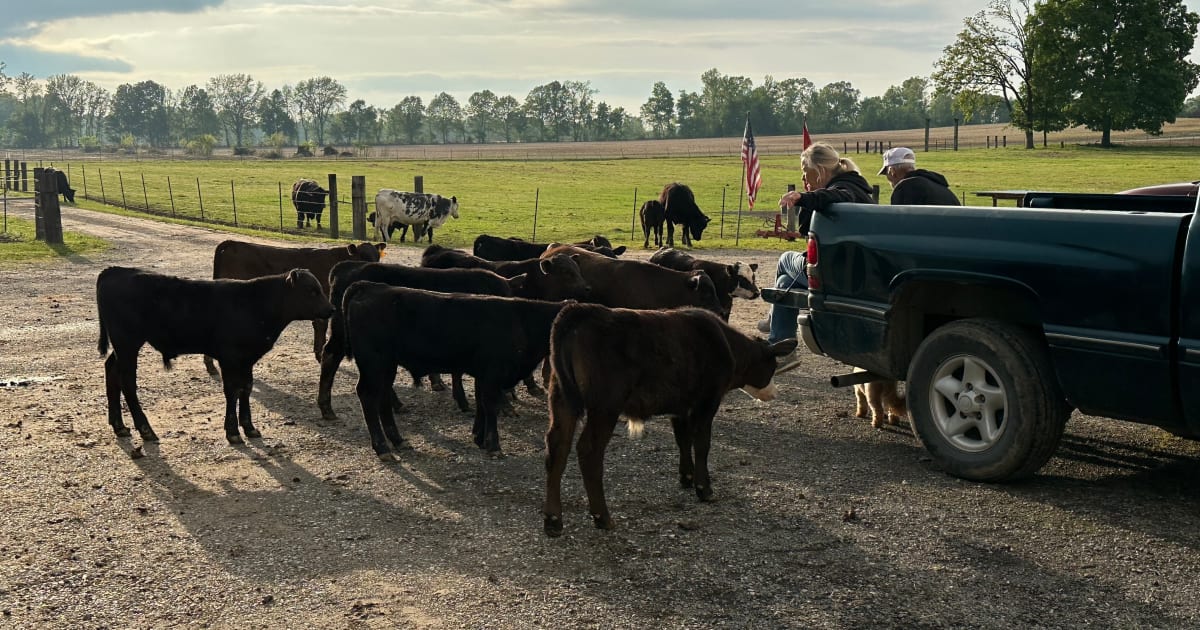 Edward "Eddie" McClellan Obituary (1951 - 2025) - Humboldt, Tennessee