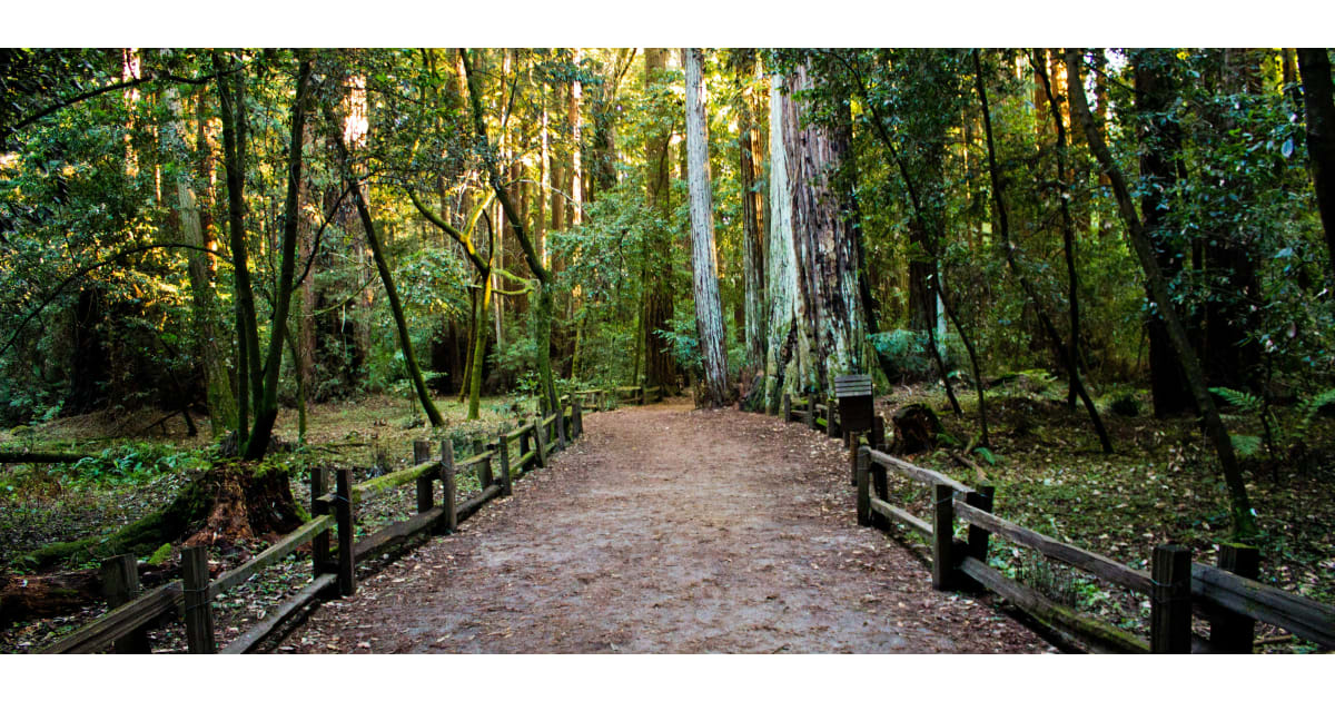 Timothy Mortensen Obituary (1974 - 2022)