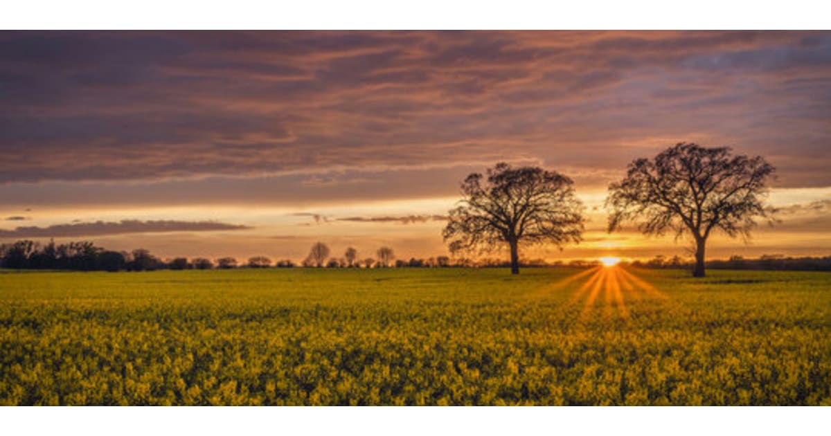 John A. Witham Obituary (1948 - 2024) - Barnstead, NH