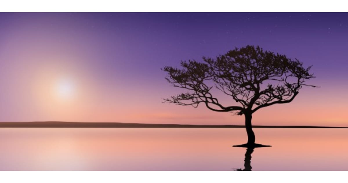 Damien Guy Rogers Obituary (1972 - 2025) - Gardiner, Maine