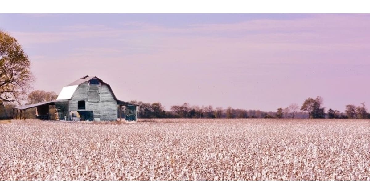 Terry Wayne Shaffer Obituary (1959 - 2024) - Ridgely, Tennessee