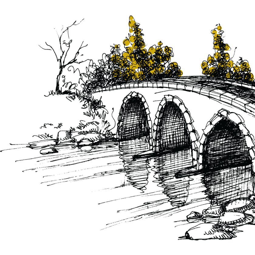 Ronald Ray Collins Obituary (1963 - 2025) - Madison, North Carolina