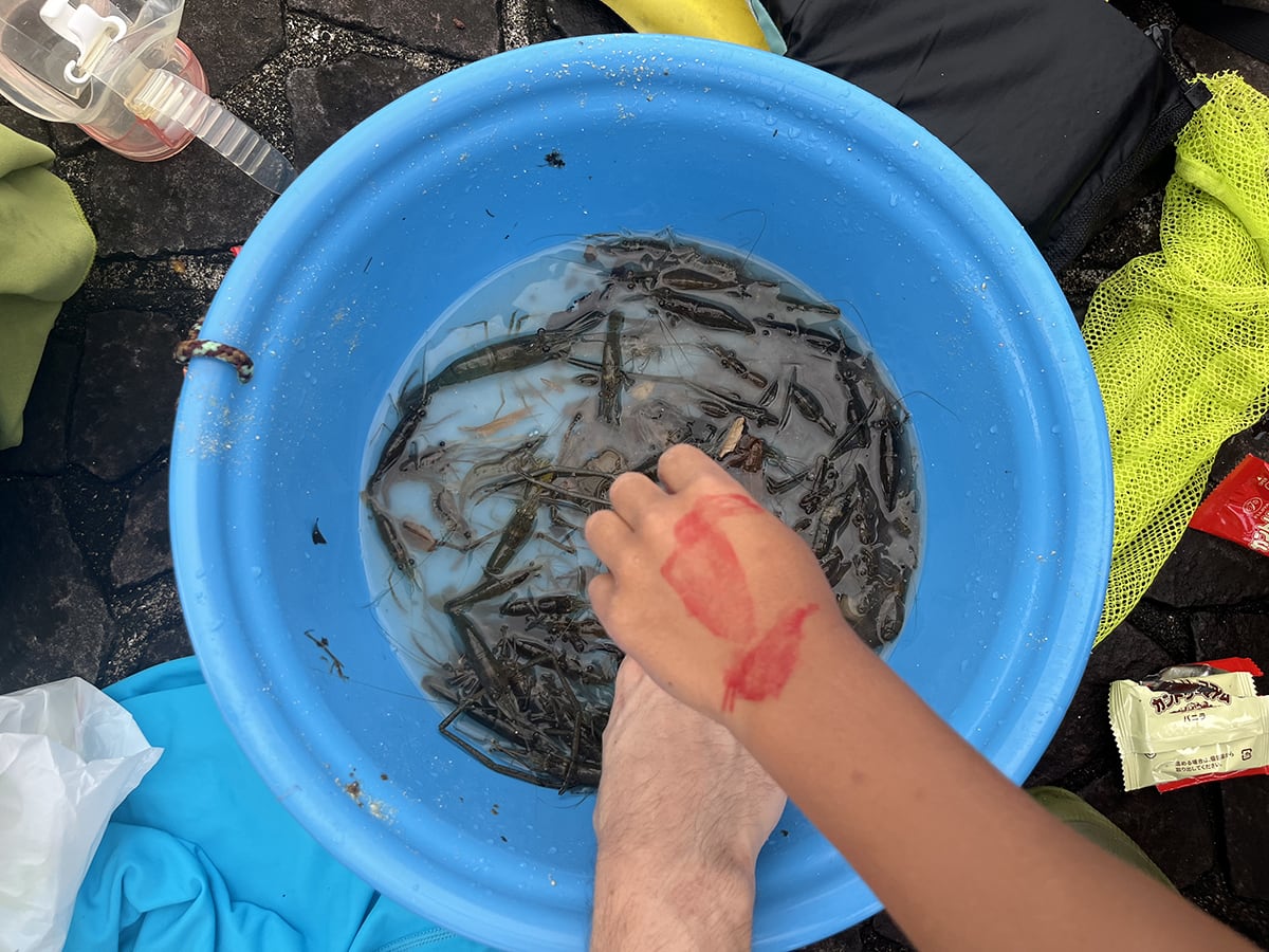 IMALU「実は緊張しいでビビり」も…成長を実感できた初挑戦づくしの夏の出来事（IMALU） - 2ページ目 | FRaU the Earth