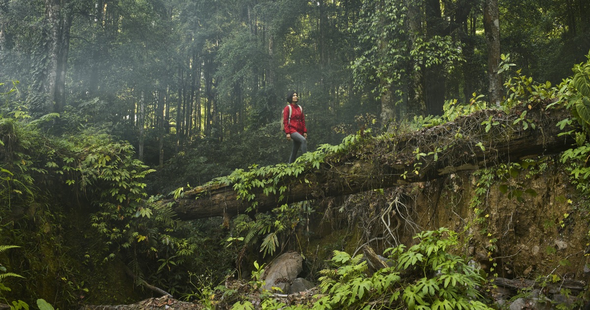 衝撃！「夜這い」は家族公認、「ありがとう」「ごめんなさい」という言葉がない…東南アジアに住む「幸せな民族」の習慣がすごすぎた！（小林 武彦 ...