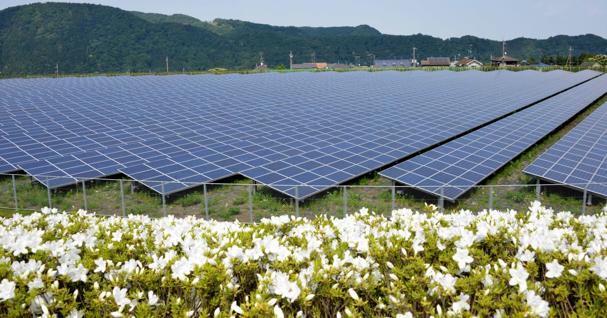 「猛暑の原因はメガソーラー」という噂も出ているが…専門家に聞いた「この暑さはいつまで続くのか」（現代ビジネス編集部） - 3ページ目 | 現代 ...