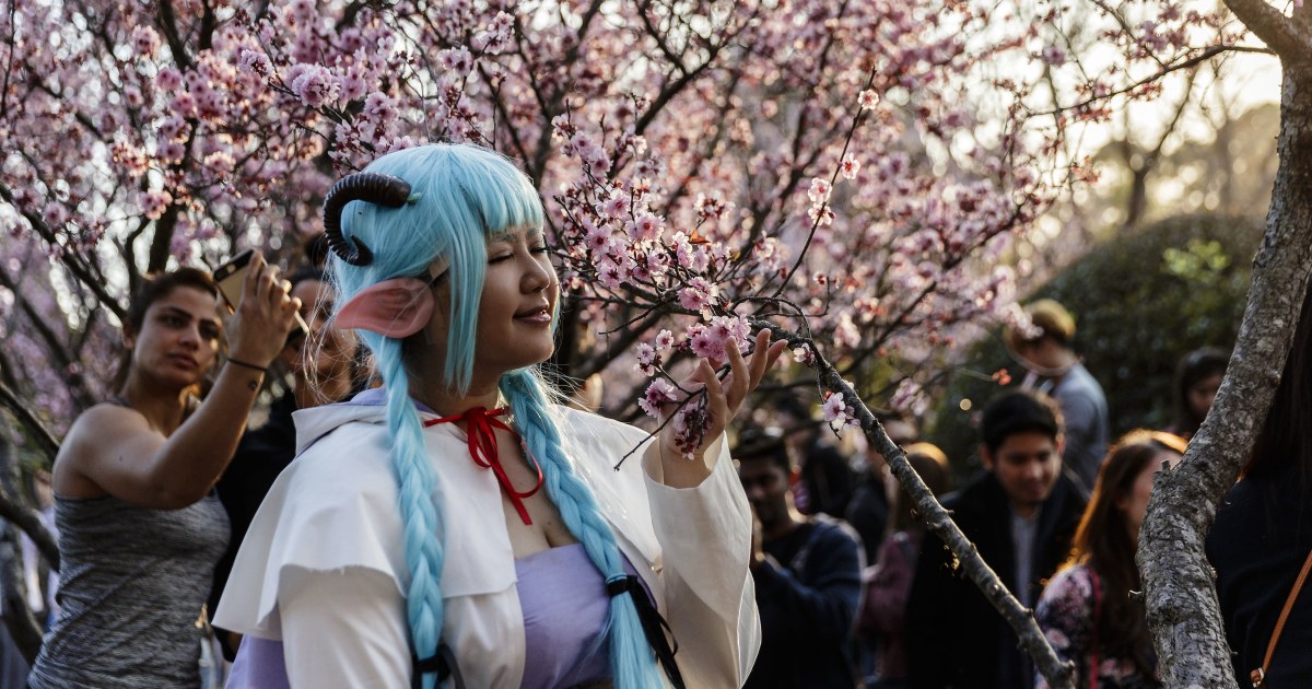 なぜコスプレイヤーは炎上を繰り返すのか…「二次創作のマナー問題」と「SNSで肥大化する承認欲求」から見えてくる根深い対立構造（城戸 譲） | 現代ビジネス | 講談社