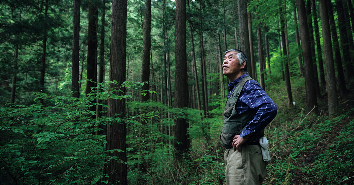 “生涯現役”77歳の林業家が語る「次世代へ林業をつなぐため」に必要な3つのこと（FRaU編集部） | FRaU the Earth