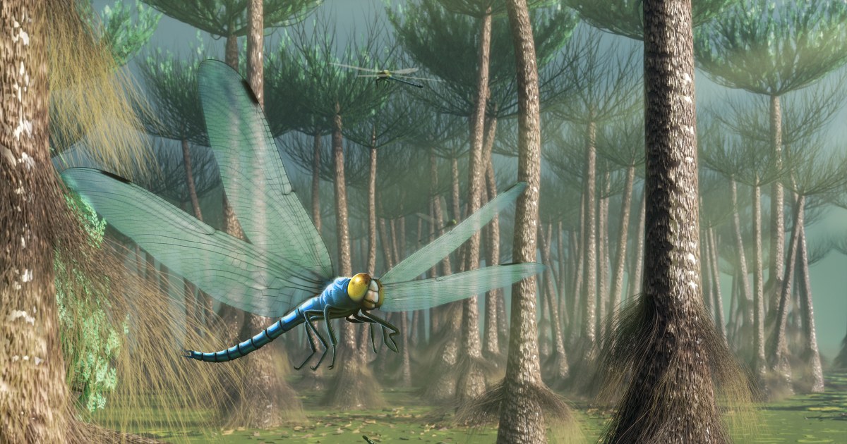 「超巨大」は、トンボだけじゃない…「デボン紀末の大量絶滅」のその後。海洋世界の悲惨なまでの打撃に対して「陸上生物の大繁栄」がもたらした、桁違い ...