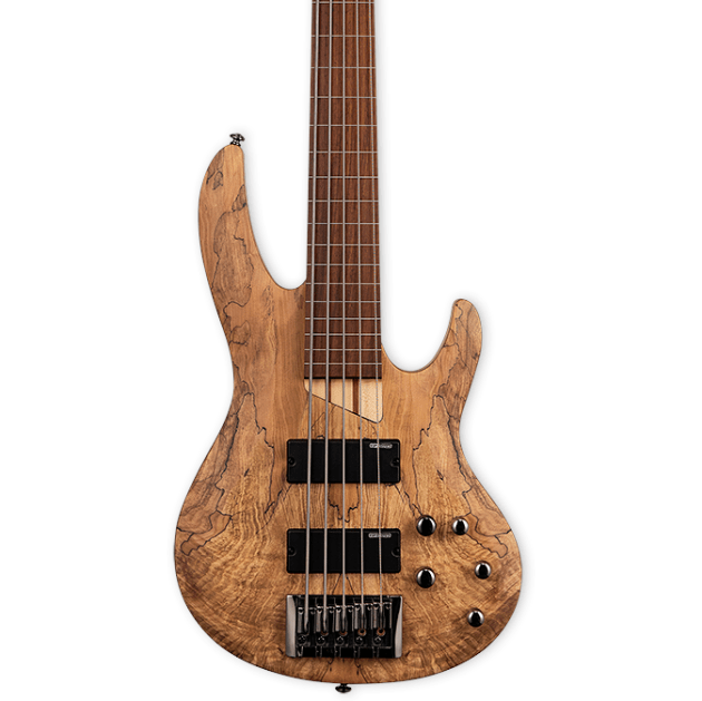 ESP LTD B-205SM Fretless 5-String Bass Guitar, Roasted Jatoba ...
