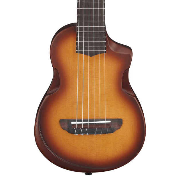 Ibanez AUP10N Spruce 6-String Acoustic Tenor Ukulele, Light Brown ...