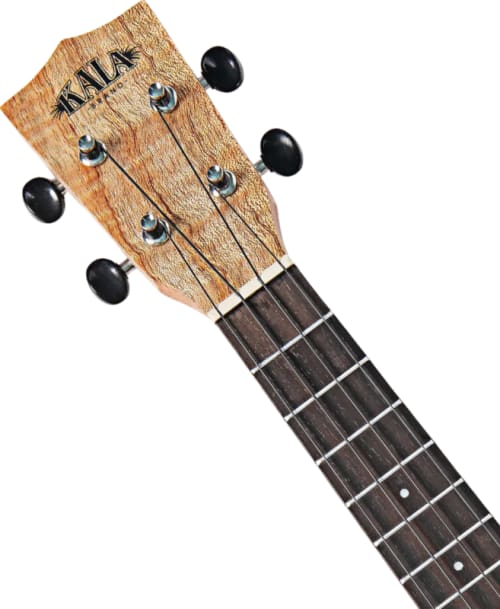 Kala KA-CLM Cape Lilac Mahogany Concert Ukulele | Firehouse Guitars