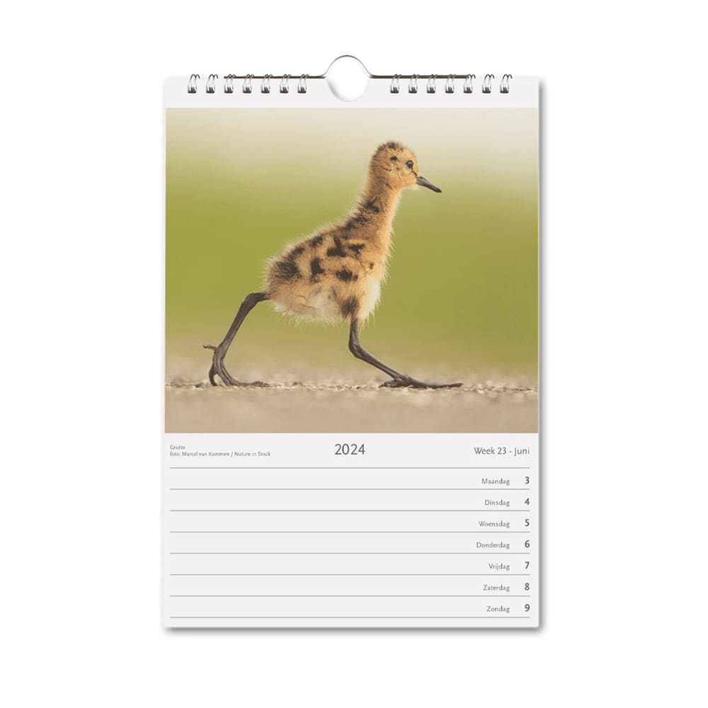 Nederland Natuurland Weekkalender 2024 - Geluksvogels