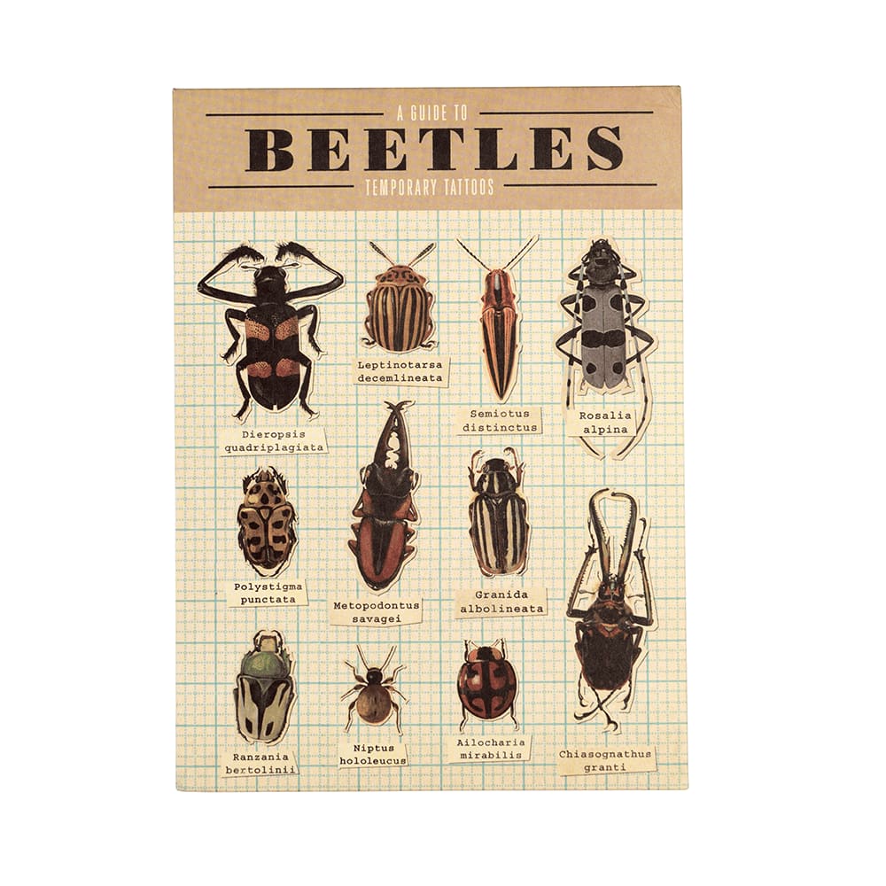 Rex London - Tattoos Kevers - Nature Trail - Geluksvogels