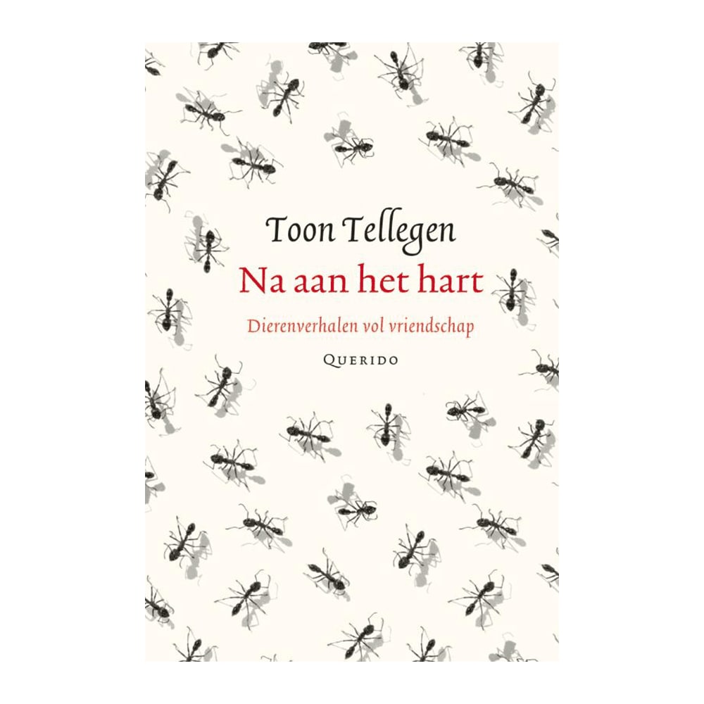 Na aan het hart - Toon Tellegen - Geluksvogels