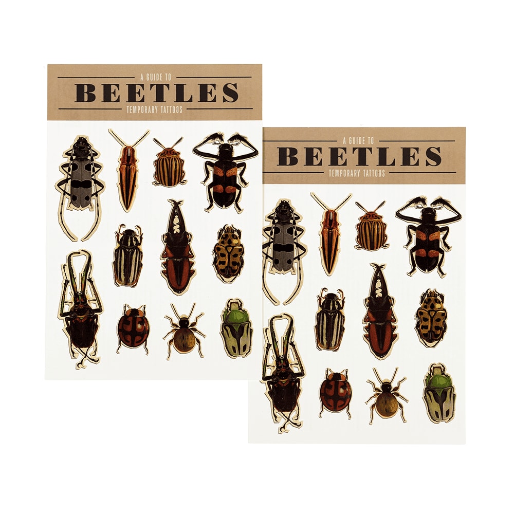 Rex London - Tattoos Kevers - Nature Trail - Geluksvogels