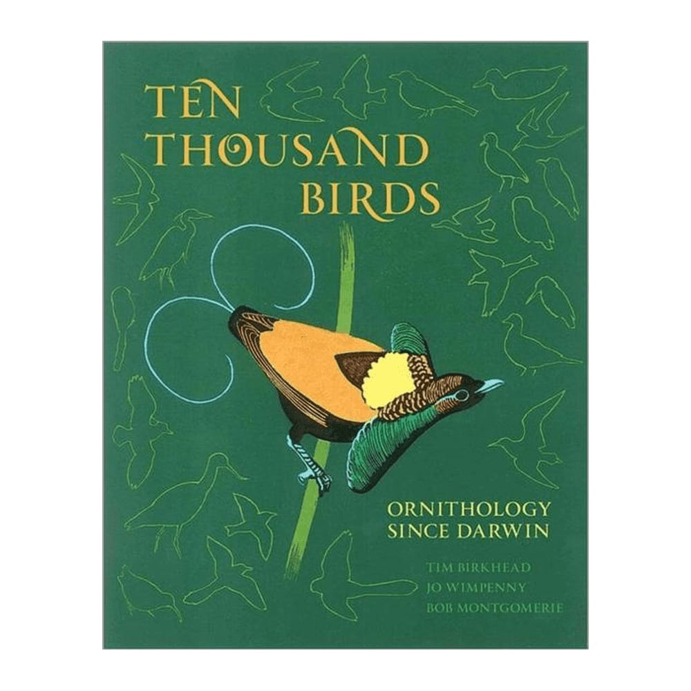 Ten Thousand Birds - Geluksvogels