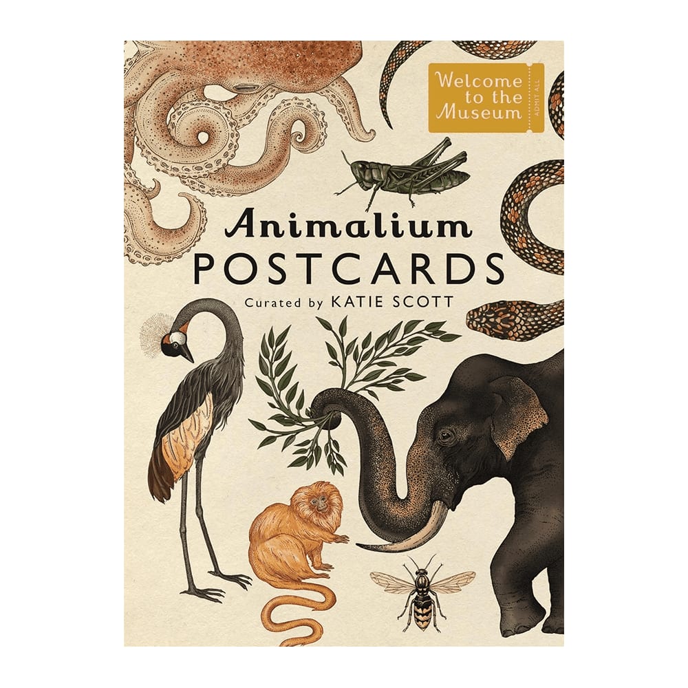 Animalium Postcards - 50 stuks - Geluksvogels