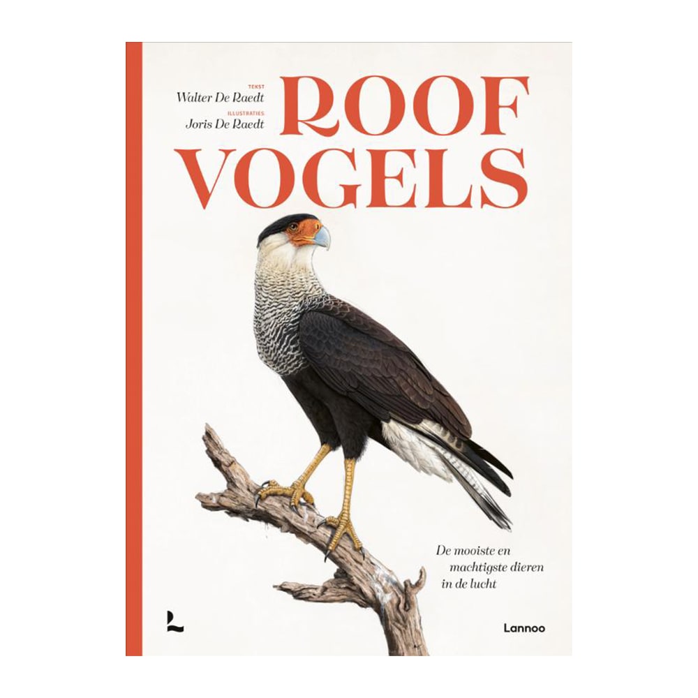 Roofvogels - Joris De Raedt - Geluksvogels