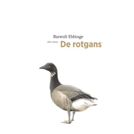 De Rotgans | Geluksvogels