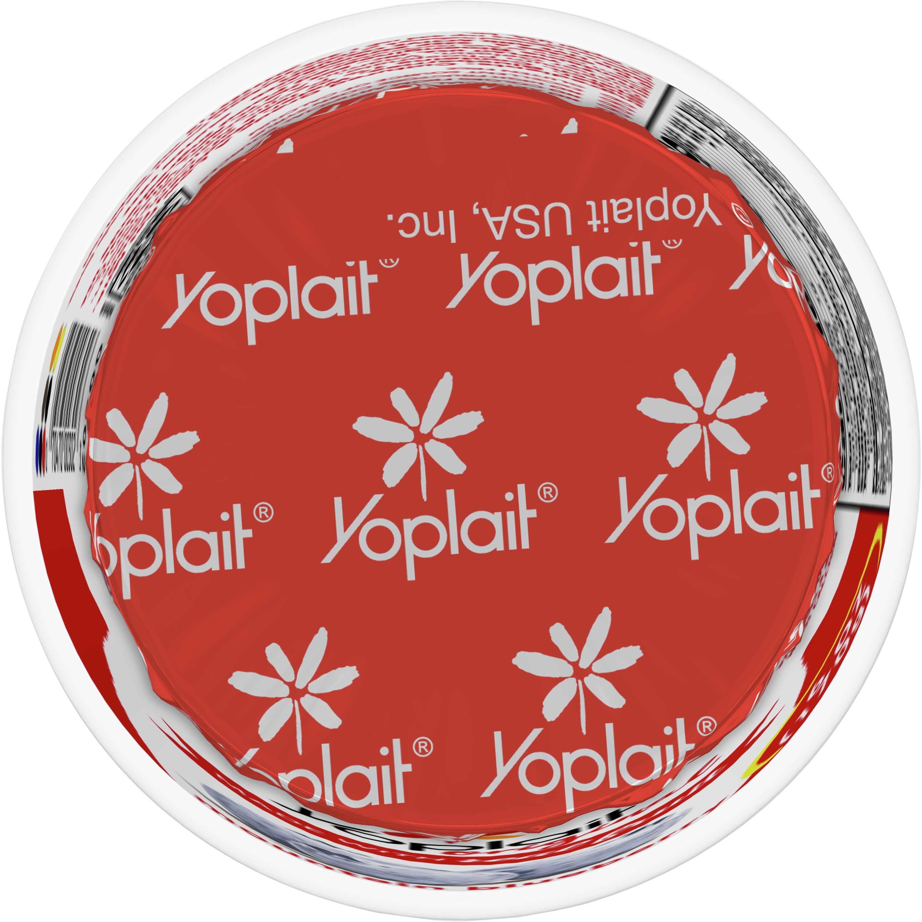 Yoplait Blueberry Yogurt