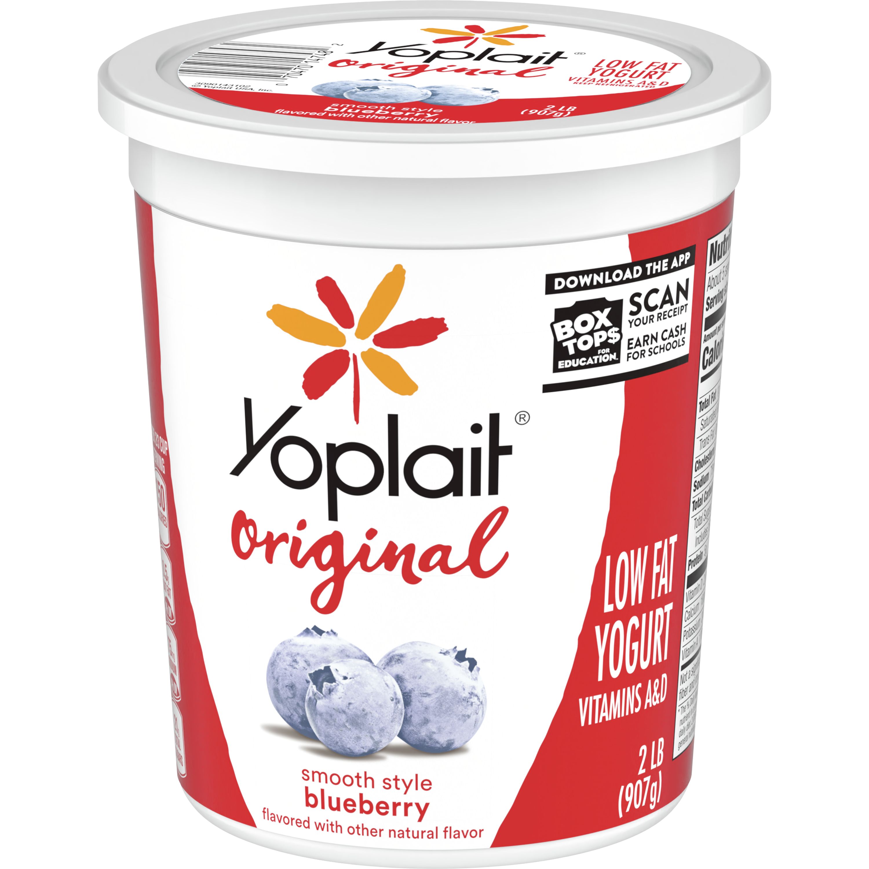 Yoplait Blueberry Yogurt