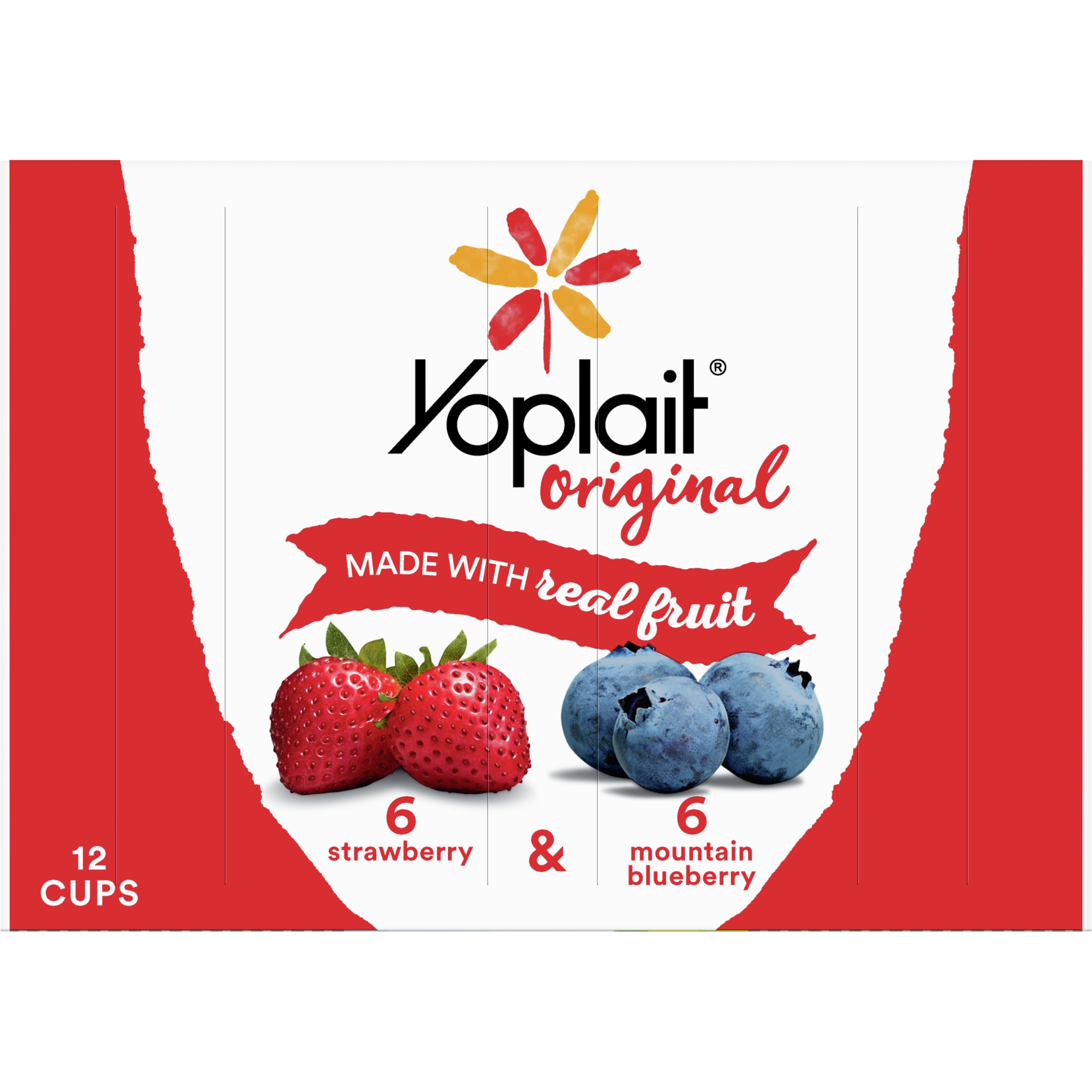 Yoplait Blueberry Yogurt