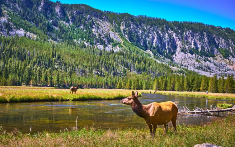 Epic 2026 Hunting Bucket List Adventures | Gentleman's Pursuits