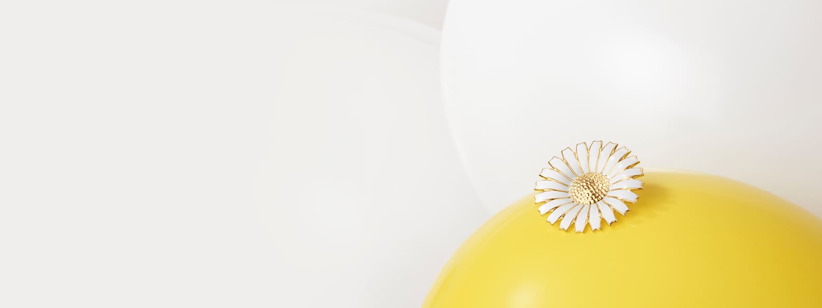チャーミングな花の特徴を忠実に再現したデイジー(DAISY チャーミングな花の特徴を忠実に再現したデイジー(DAISY