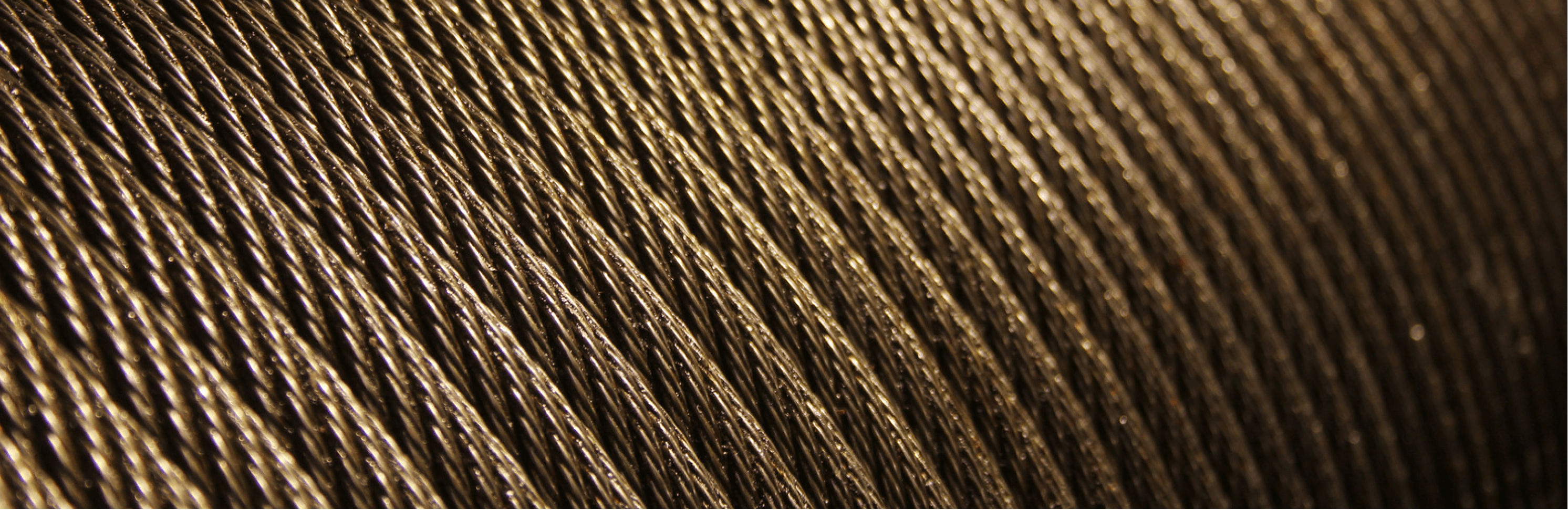 Safety for Every Juan | Insight