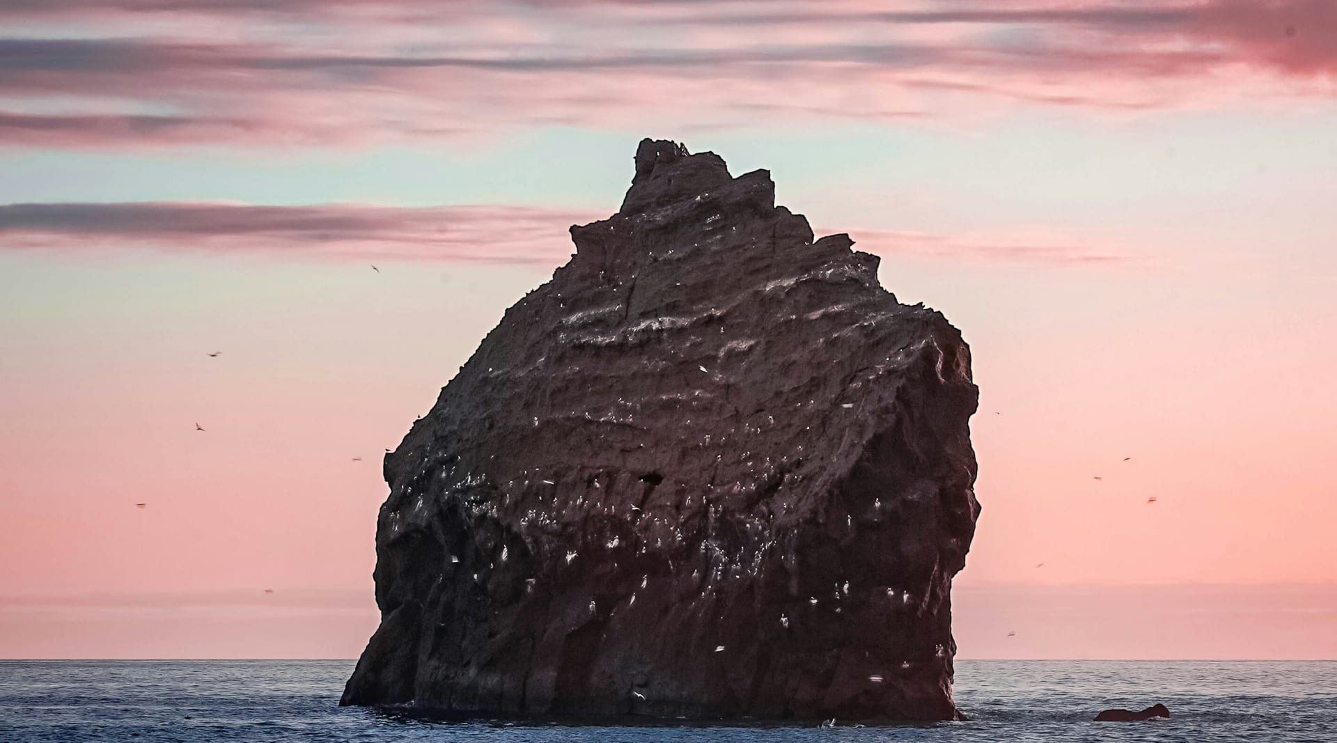 Reykjanes Peninsula UNESCO Global Geopark | Private Tour | Jeeps.is