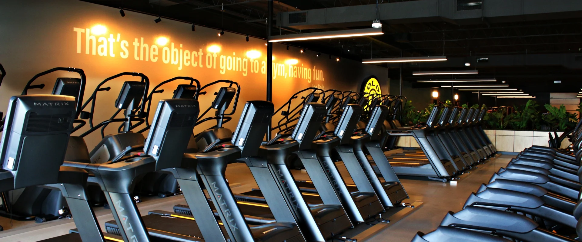 Gold’s Gym Austin Burnet | Austin Burnet, TX 78757 | Build Strength