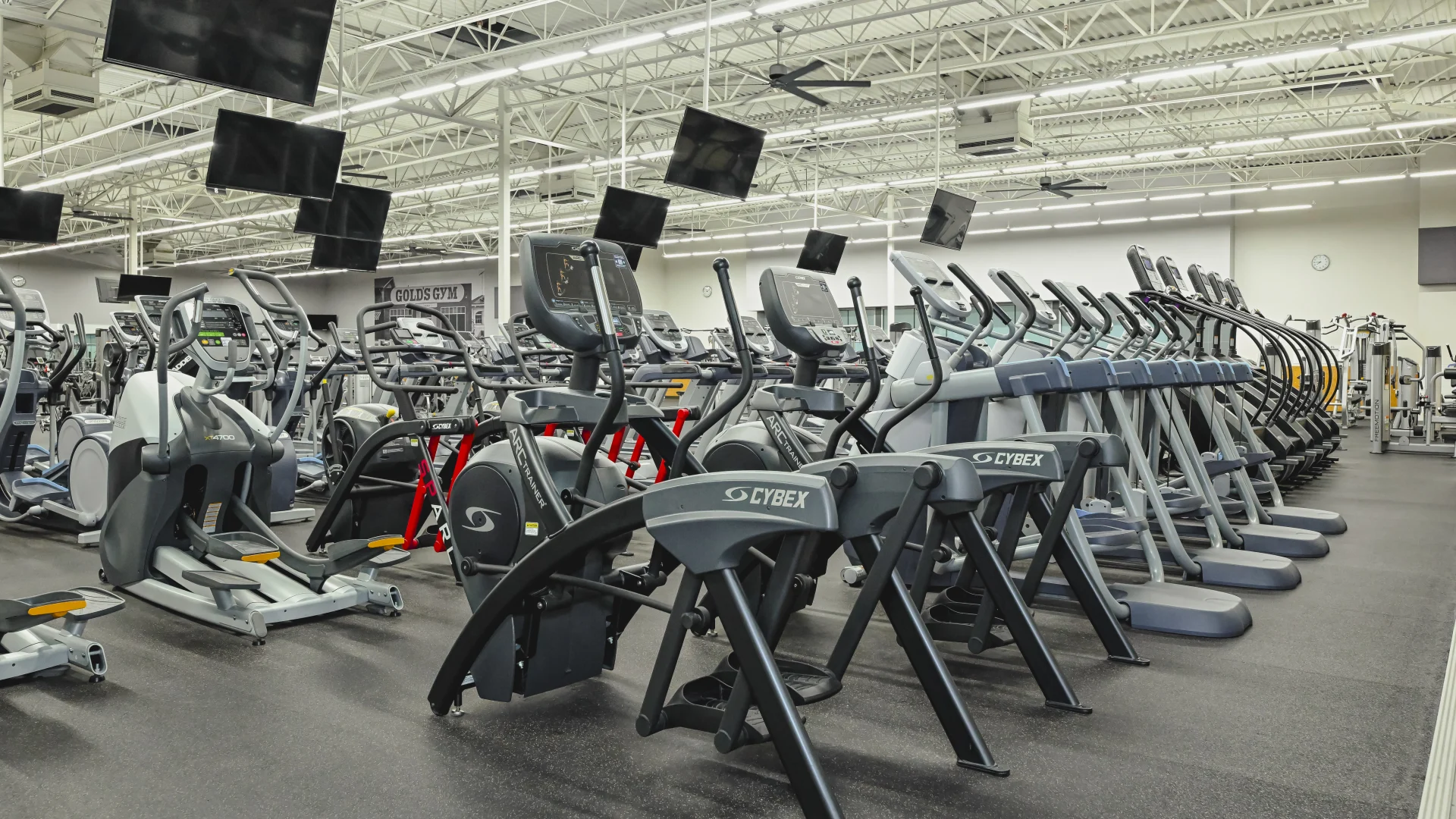 Gold’s Gym Tower Point | Tower Point, TX 77845 | Stronger Starts Here
