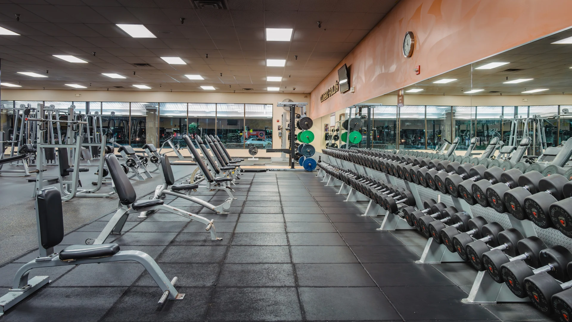 Gold’s Gym Southeast | Austin, TX 78745 | Define Your Power