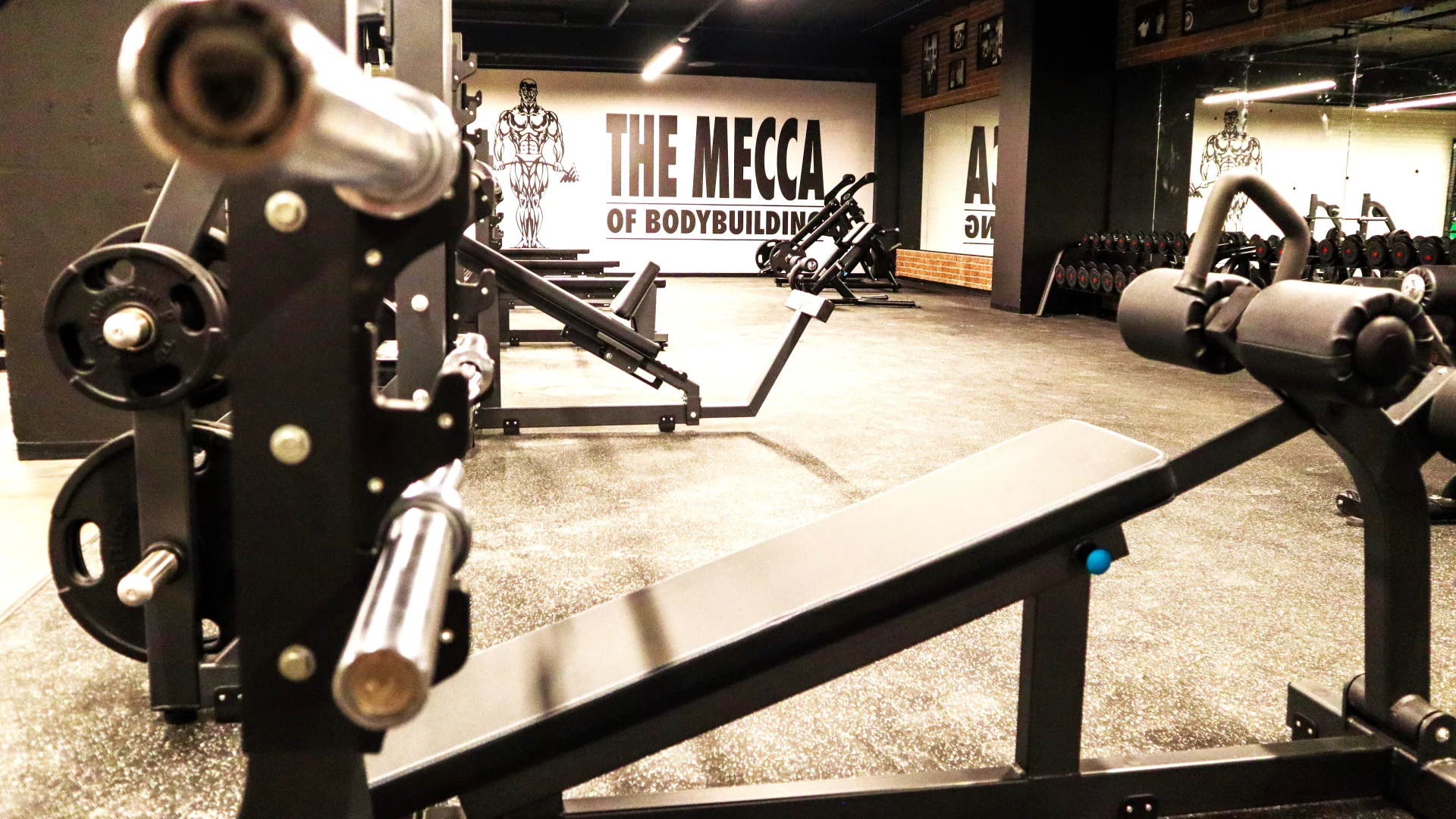 Gold’s Gym Georgetown Park | DC 20007 | Power Every Session
