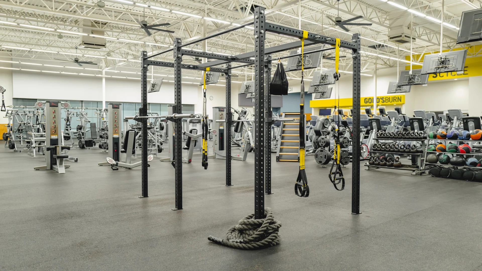 Gold’s Gym Tower Point | Tower Point, TX 77845 | Stronger Starts Here