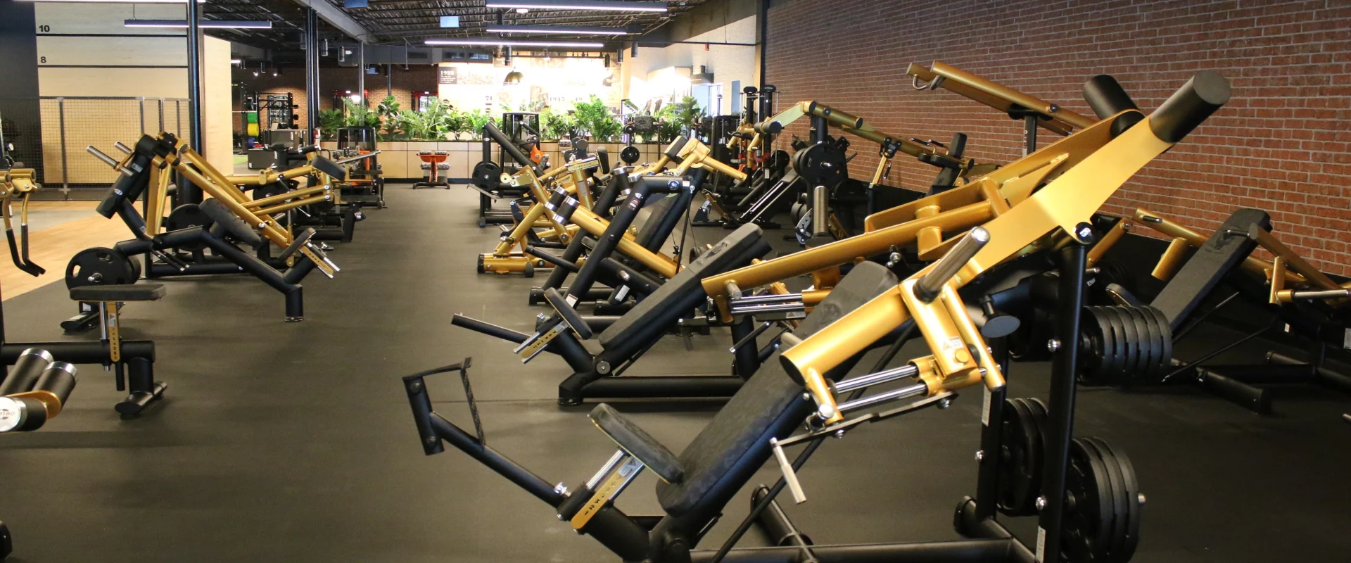 Gold’s Gym Austin Burnet | Austin Burnet, TX 78757 | Build Strength