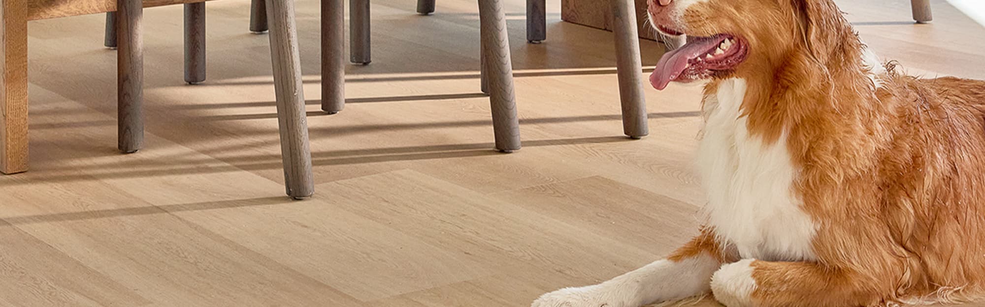 Water Resistant Surface^ - Godfrey Hirst Residential