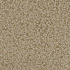Ruby Bay Solution Dyed Nylon Carpet - Feltex Residential Carpet