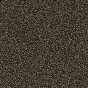 Ruby Bay Solution Dyed Nylon Carpet - Feltex Residential Carpet