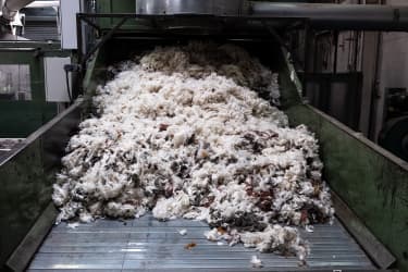Giving Wool Waste A New Life