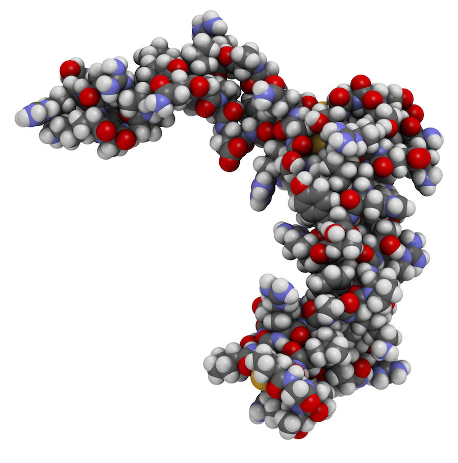 ROMOSOZUMAB – un farmaco con nuovo meccanismo d’azione – G.I.B.I.S.