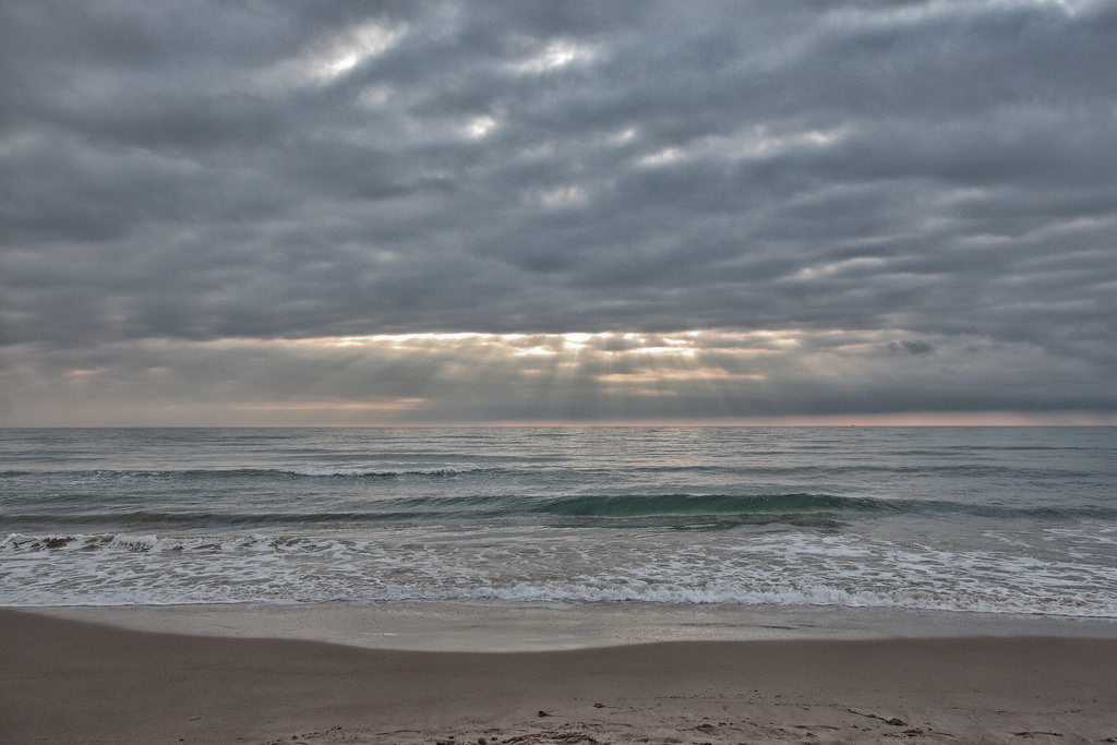 Gimkit - live learning game show